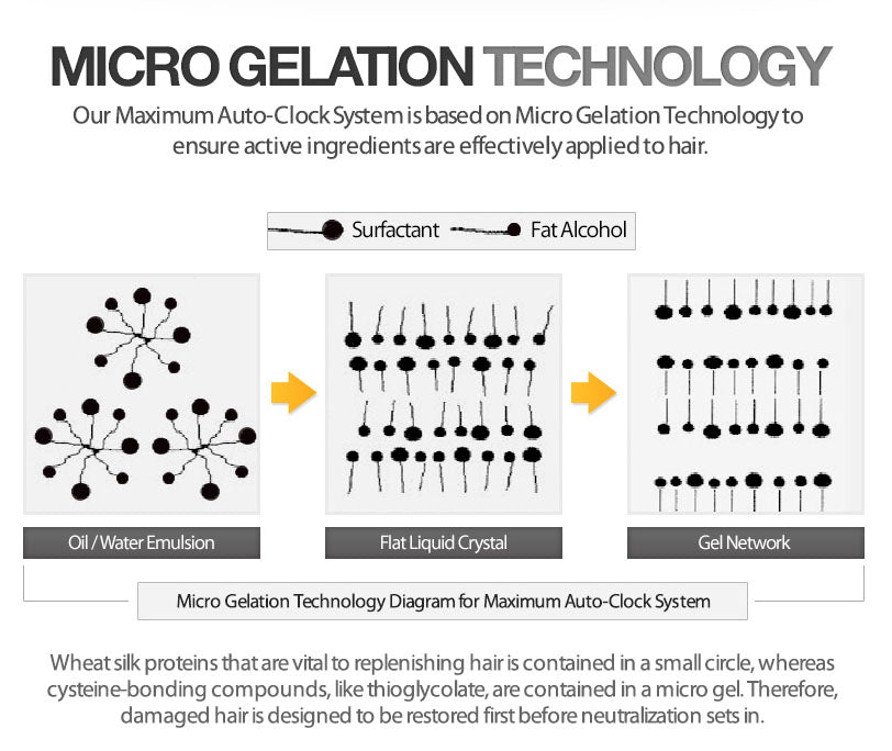 Maximum Auto-Clock System Keratin Protein Pretreatment 500Ml | Palace ...